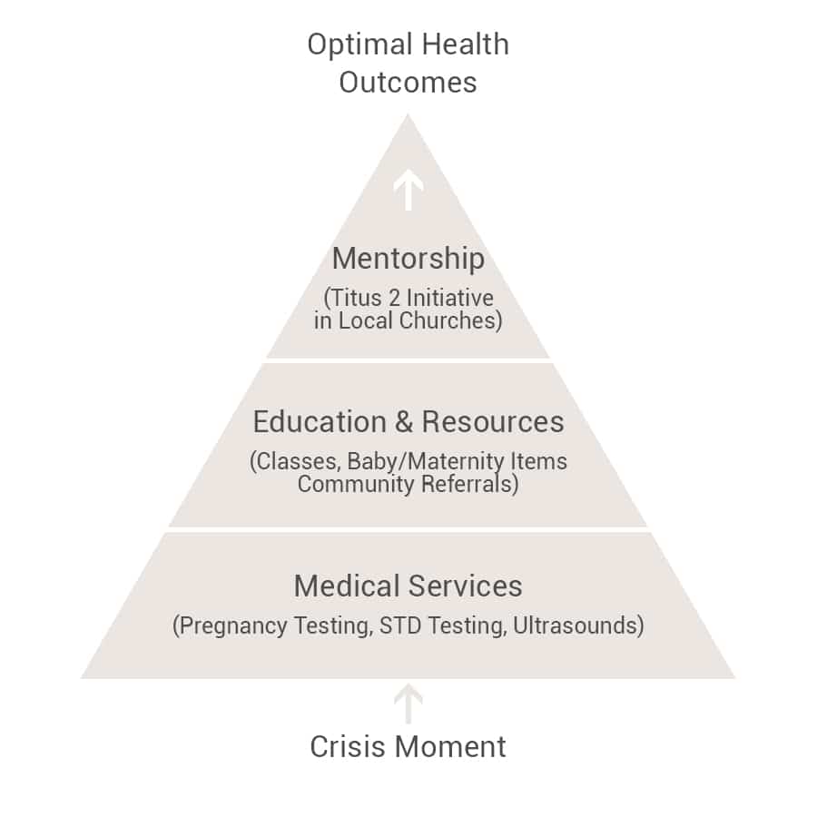Moving Ahead: Bi-Annual Report and 2016 Recap • The Pregnancy Network